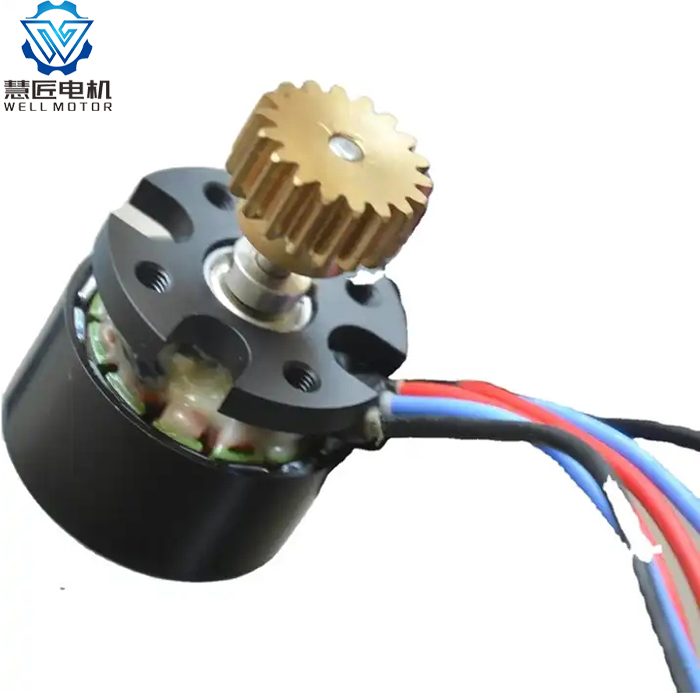 4315 Outrunner bldc Brushless-Well Motor | DC motor,DC gear motor,bldc ...